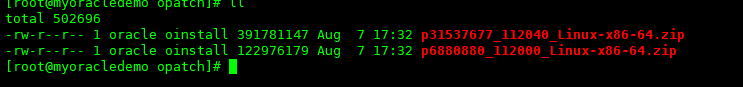 在Linux上使用OPatch为Oracle 11g数据库安装PSU补丁-开发者社区-阿里云
