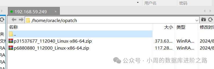 在Linux上使用OPatch为Oracle 11g数据库安装PSU补丁-开发者社区-阿里云