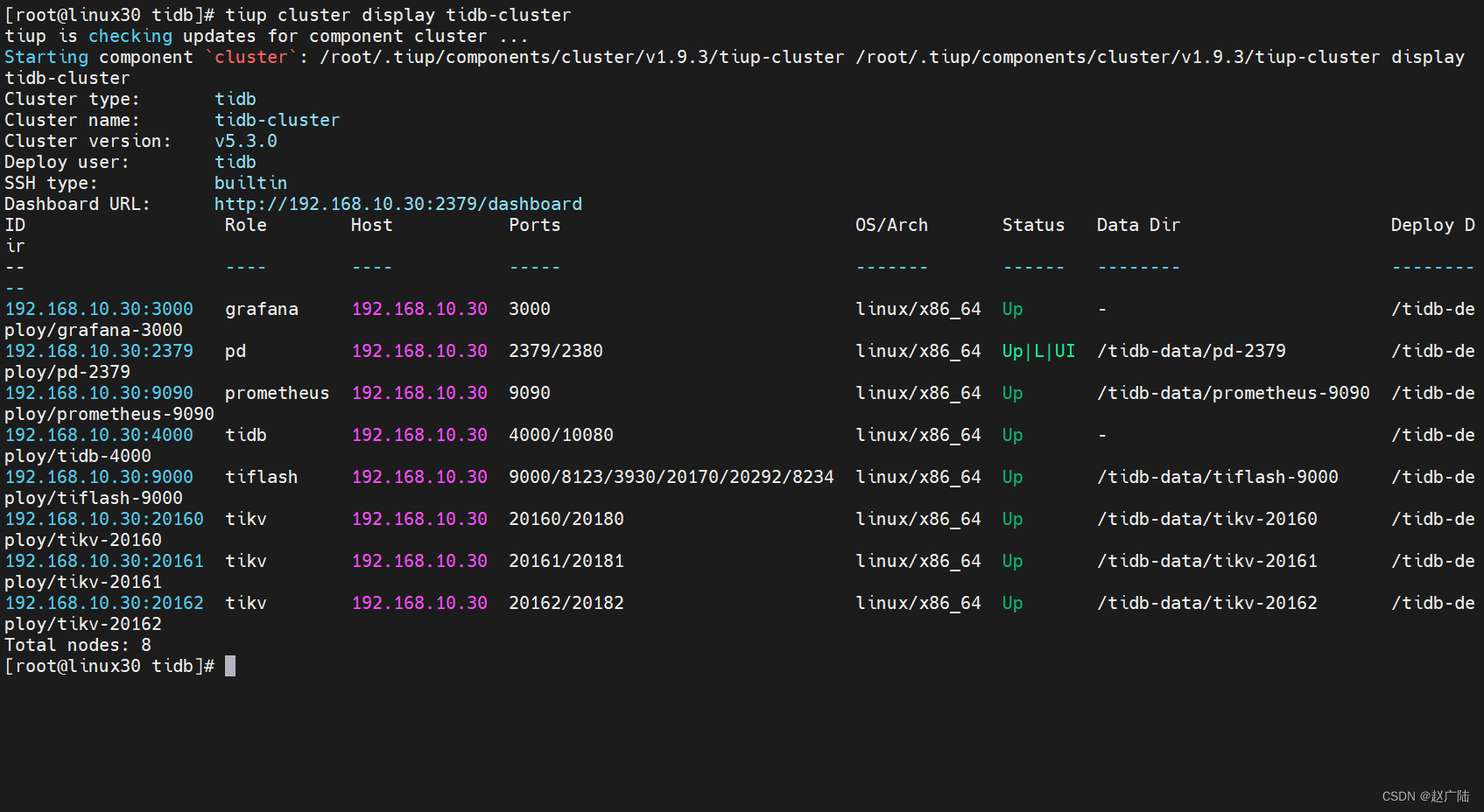 TiDB亿级数据亚秒响应查询集群部署-阿里云开发者社区