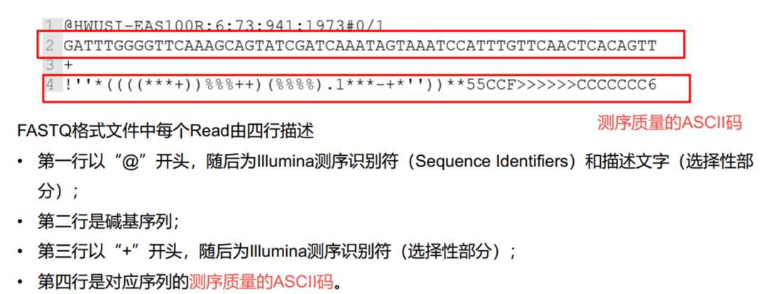DNA测序原理：illumina和Pacbio对比介绍-阿里云开发者社区