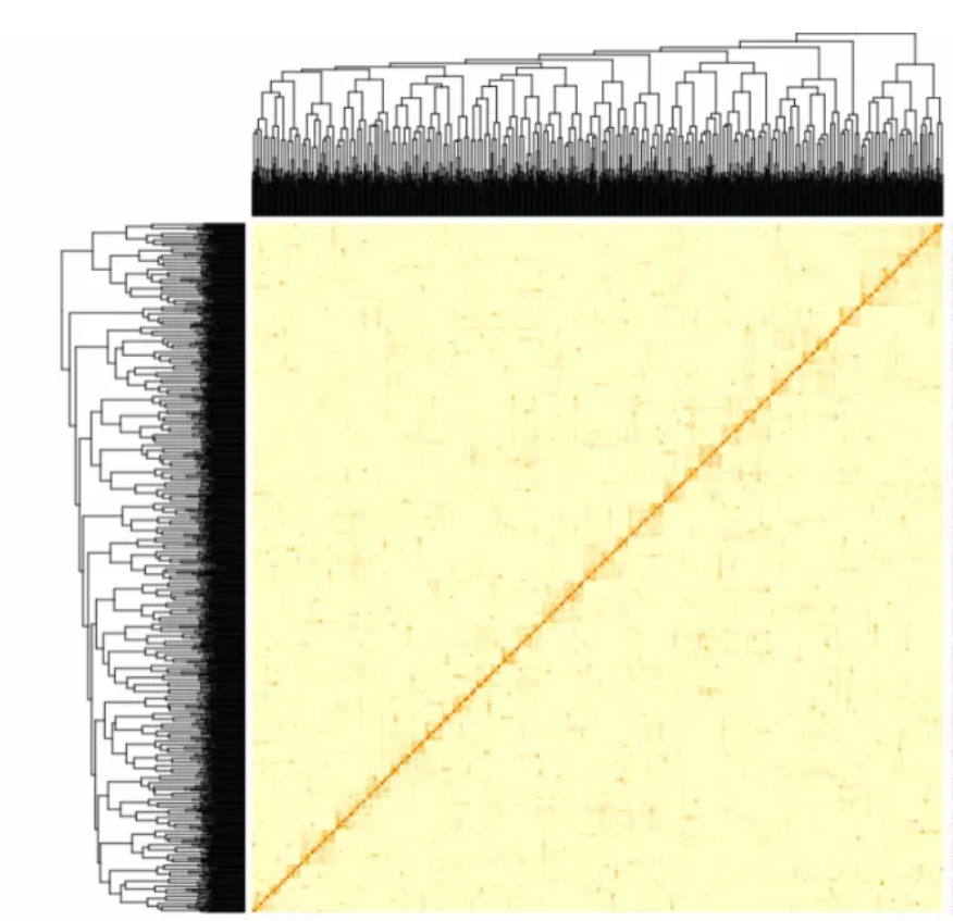 知识点丨重测序数据进行kinship亲缘关系分析、构建IBS矩阵的方法与介绍-阿里云开发者社区