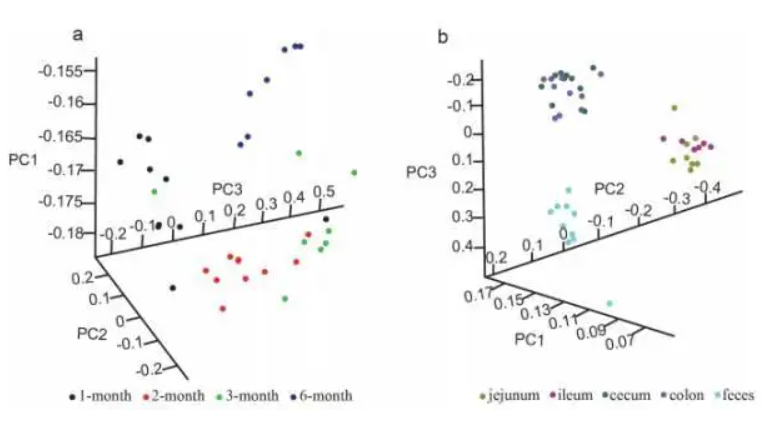 PCA分析基本知识和数学原理-阿里云开发者社区