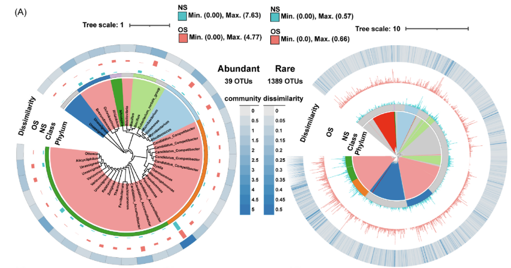 使用R包itoltoolkit实现iTOL进化树可视化与美化-开发者社区-阿里云