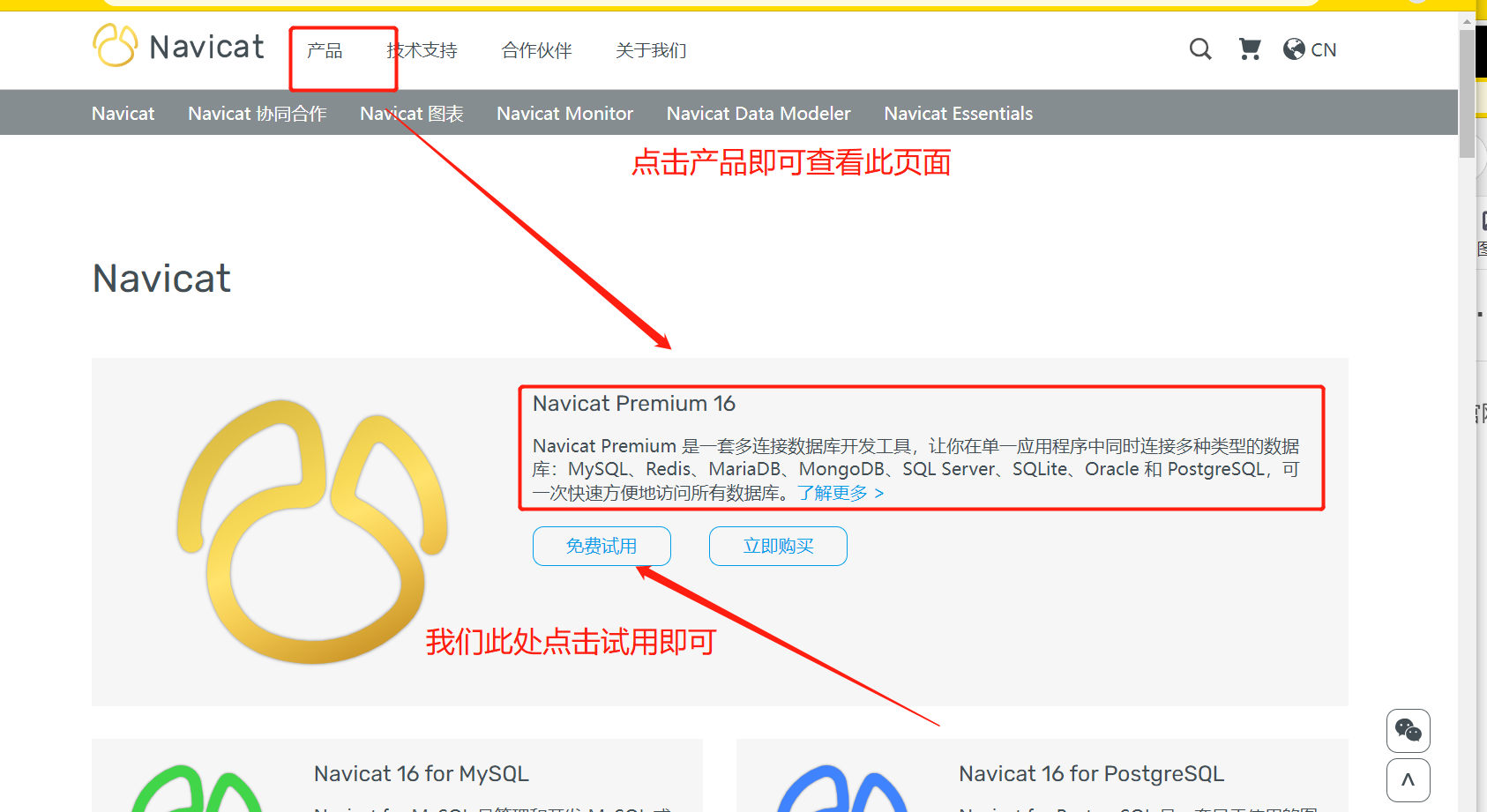 2023 最新版navicat 下载与安装 步骤及演示 (图示版)-阿里云开发者社区