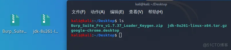 Kali Linux安装Burp Suite专业版及依赖JDK配置-开发者社区-阿里云