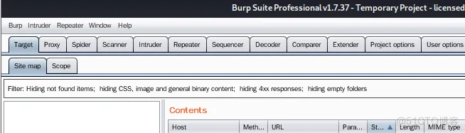Kali Linux安装Burp Suite专业版及依赖JDK配置-开发者社区-阿里云