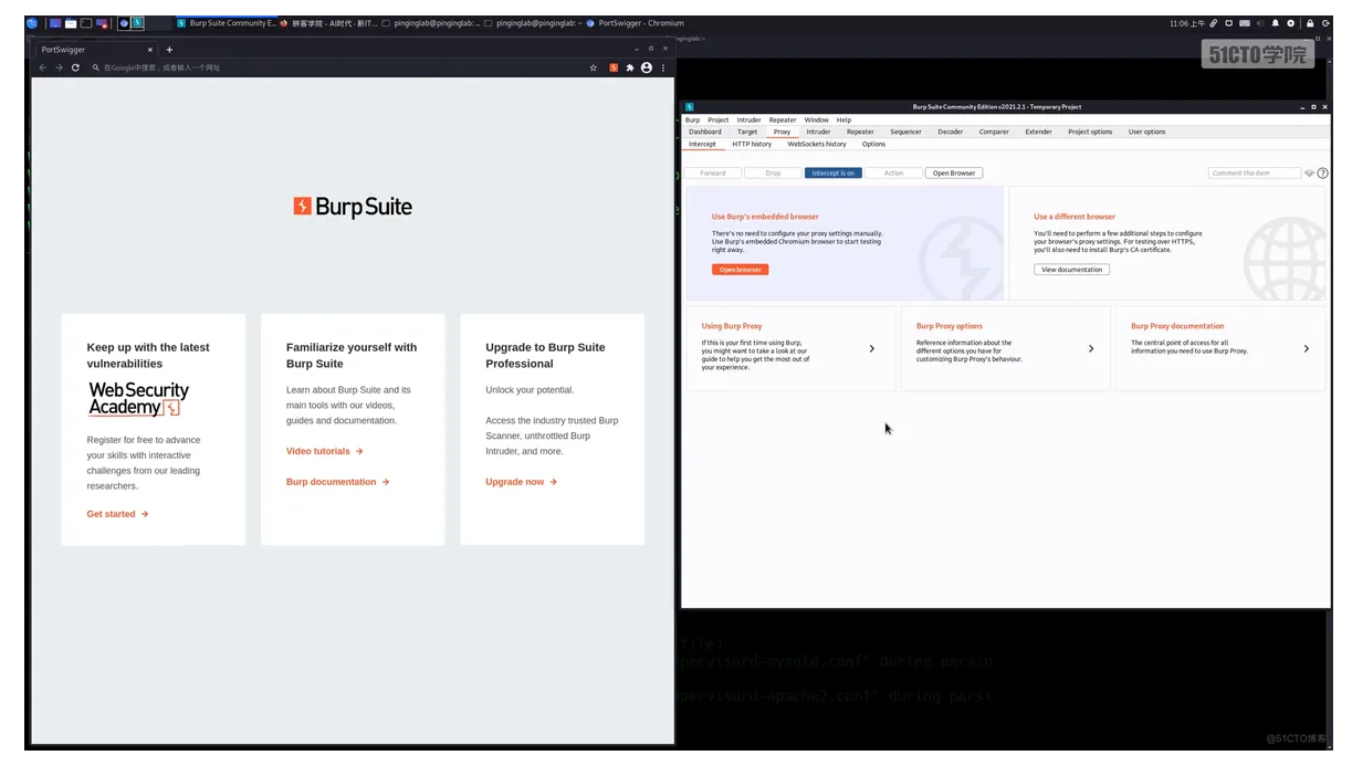 BurpSuite入门指南含Java环境配置与核心模块使用-开发者社区-阿里云