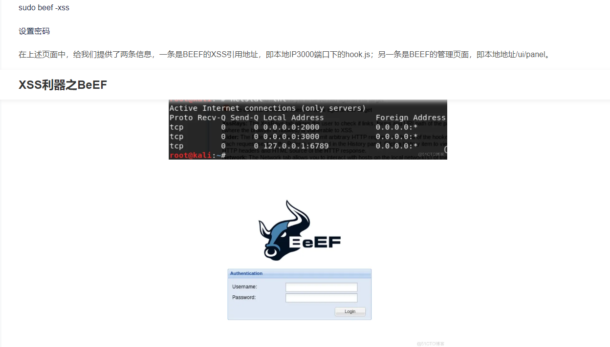 XSS利器之BeEF-阿里云开发者社区