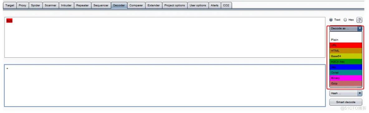 使用BurpSuite Decoder编解码实现WAF绕过-开发者社区-阿里云