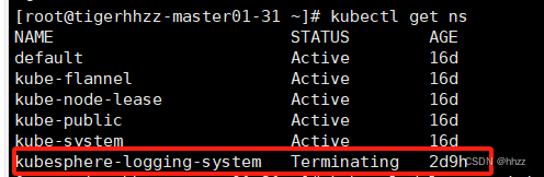 一种删除 KubeSphere 中一直卡在 Terminating 的 Namespace--KubeSphere Logging System的简单方法-阿里云开发者社区