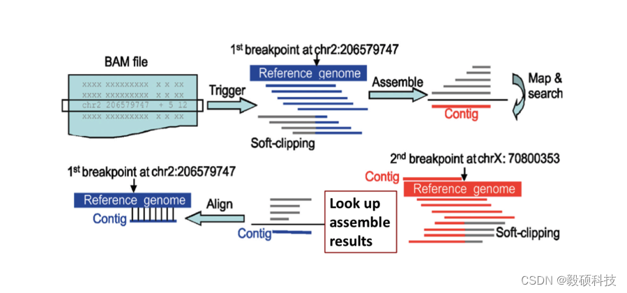 Sentieon｜应用教程：利用Sentieon Python API引擎为自研算法加速-阿里云开发者社区
