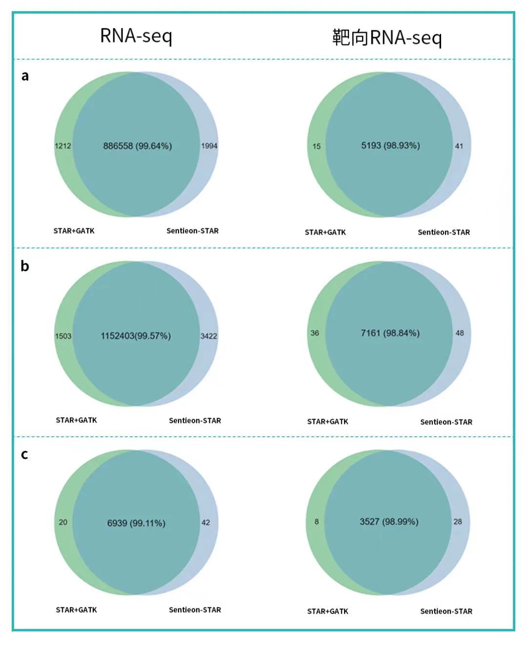 靶向RNA-seq全面解决方案和加速分析，只看这篇就够了！-阿里云开发者社区
