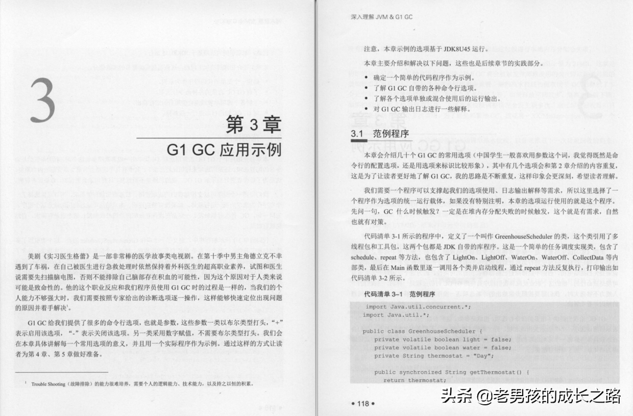 太狠了!阿里技术专家撰写的电子版JVM&G1 GC实战,颠覆了传统认知-阿里云开发者社区