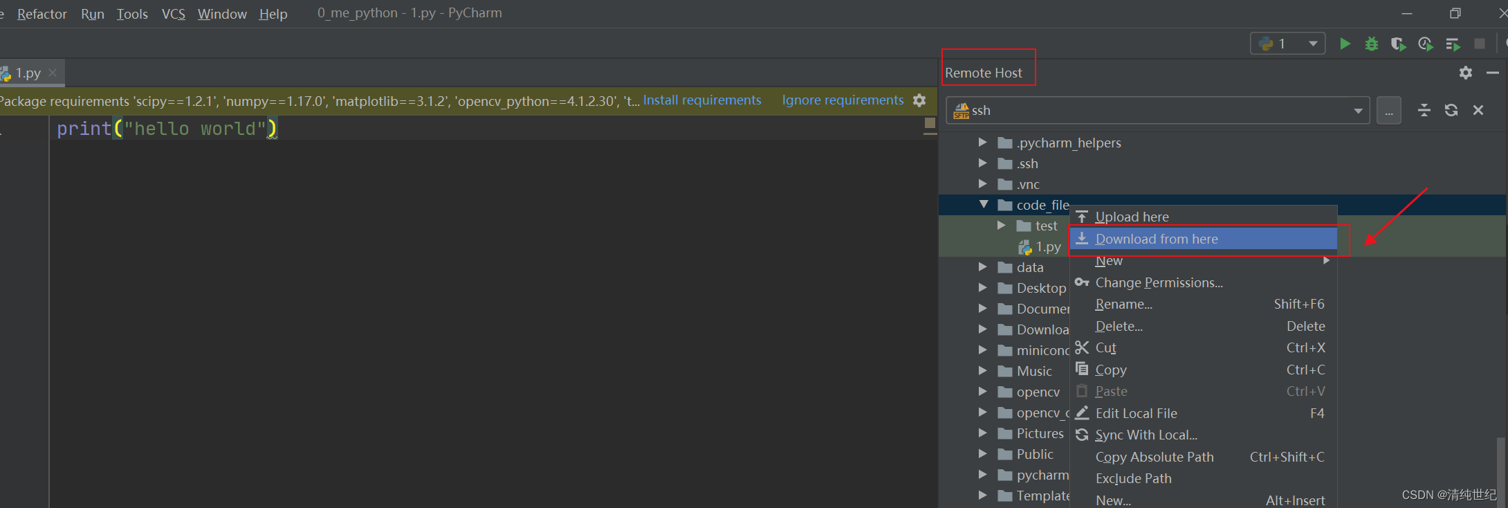 PyCharm连接远程服务器配置的全过程-阿里云开发者社区