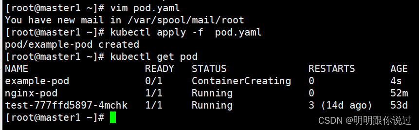 Kubernetes Pod深度解析：构建可靠微服务的秘密武器（上）-阿里云开发者社区
