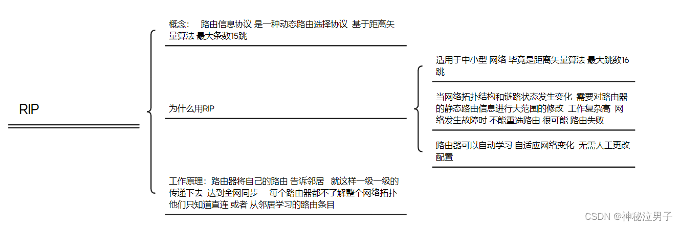 eNSP中RIPv2动态路由配置命令与原理详解-开发者社区-阿里云
