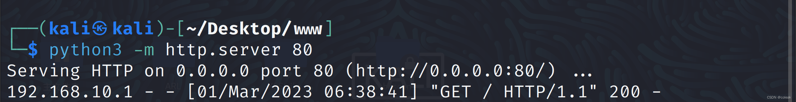 物理机不能访问虚拟机kali的web服务解决方案记录-阿里云开发者社区