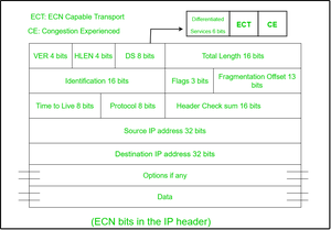 5 分钟搞懂 ECN-阿里云开发者社区