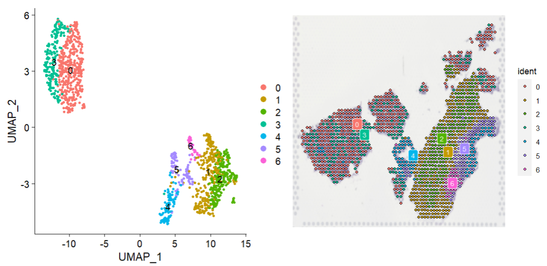 空间转录组|Load10X_Spatial函数修改适配多形式数据 + 空转标准流程-阿里云开发者社区