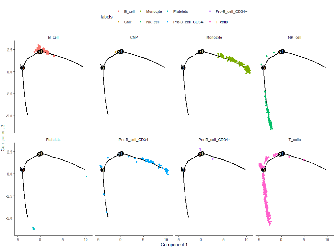 跟着NC学pseudotime| monocle2 拟时序分析 + 树形图-阿里云开发者社区