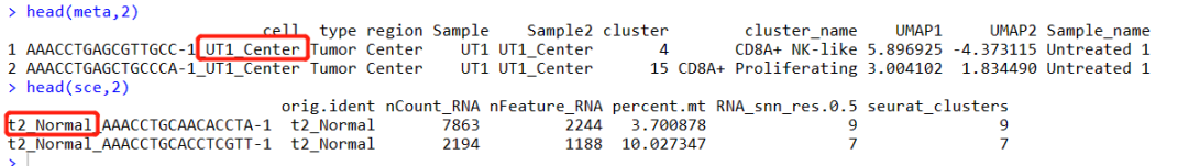 单细胞免疫组库VDJ| 从零开始scRepertoire分析，解决真实场景中可能的问题（下）-阿里云开发者社区