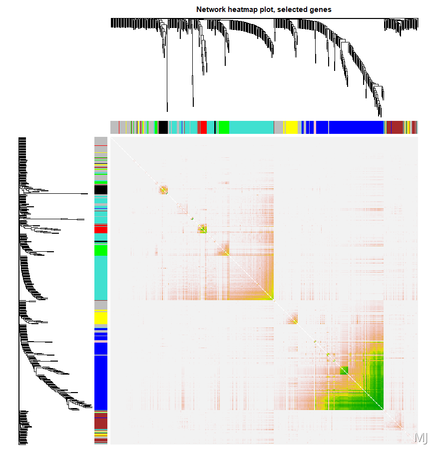 通过R语言代码实战进行WGCNA分析与hub基因挖掘-开发者社区-阿里云