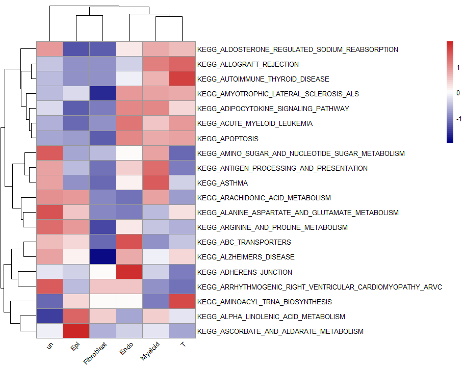 scRNA分析|单细胞GSVA + limma差异分析-celltype分组？样本分组？-阿里云开发者社区