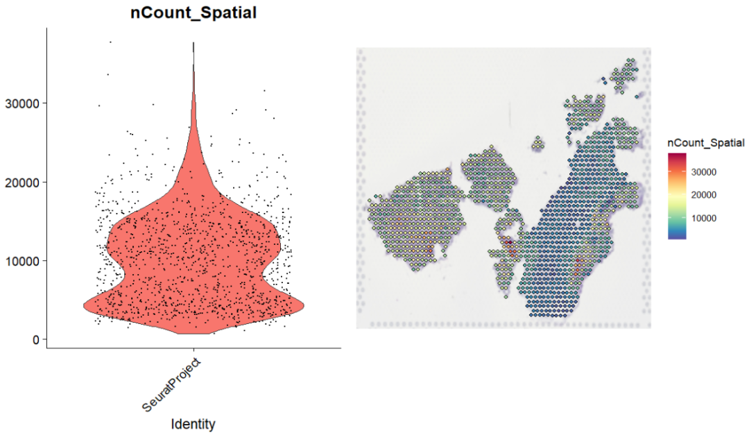 空间转录组|Load10X_Spatial函数修改适配多形式数据 + 空转标准流程-阿里云开发者社区