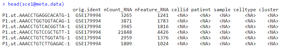 基于矩阵文件构建scRNA Seurat对象并整合meta信息-开发者社区-阿里云