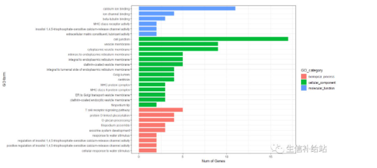 ggplot2|绘制GO富集柱形图-阿里云开发者社区