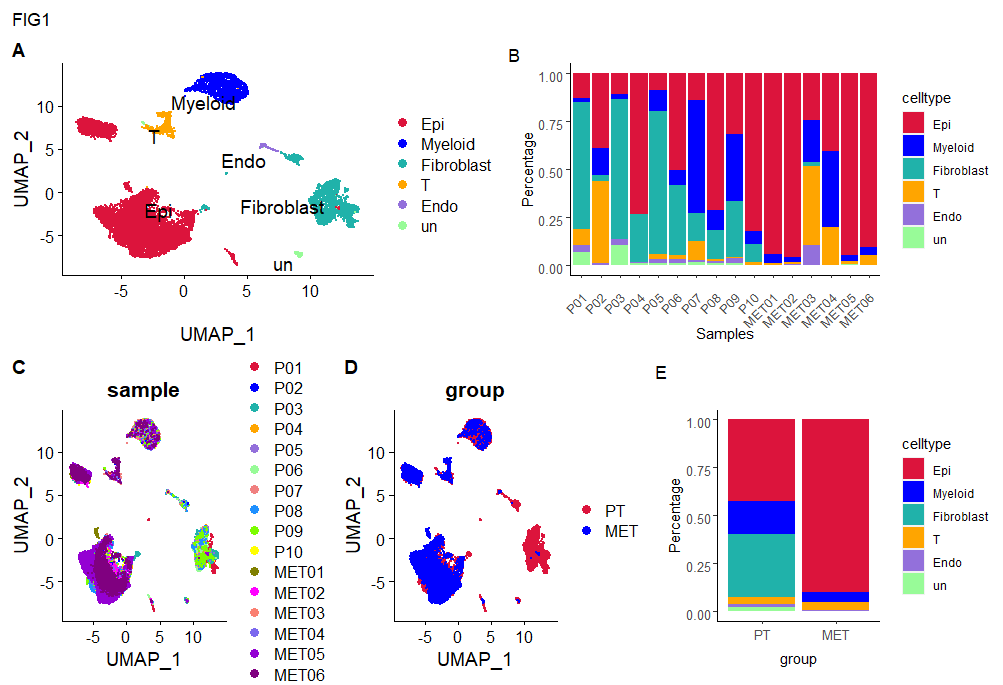 scRNA分析|单细胞文献Fig1中的分组umap图和细胞比例柱形图-阿里云开发者社区