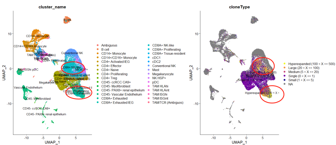 单细胞免疫组库VDJ| 从零开始scRepertoire分析，解决真实场景中可能的问题（下）-阿里云开发者社区