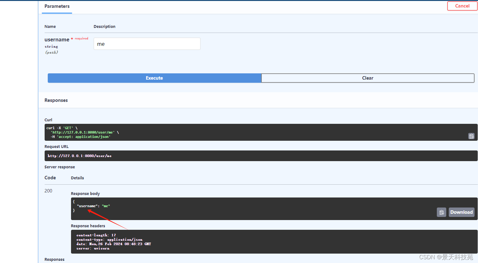 Fastapi进阶用法，路径参数，路由分发，查询参数等详解-阿里云开发者社区