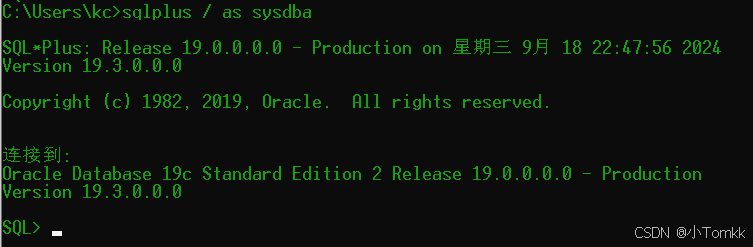 Oracle 19c 安装教程学习-阿里云开发者社区