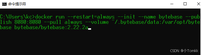 使用Docker安装部署数据库版本控制工具Bytebase-开发者社区-阿里云