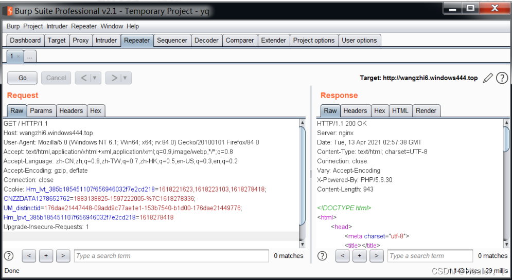 Web安全工具BurpSuite入门与核心功能模块详解-开发者社区-阿里云