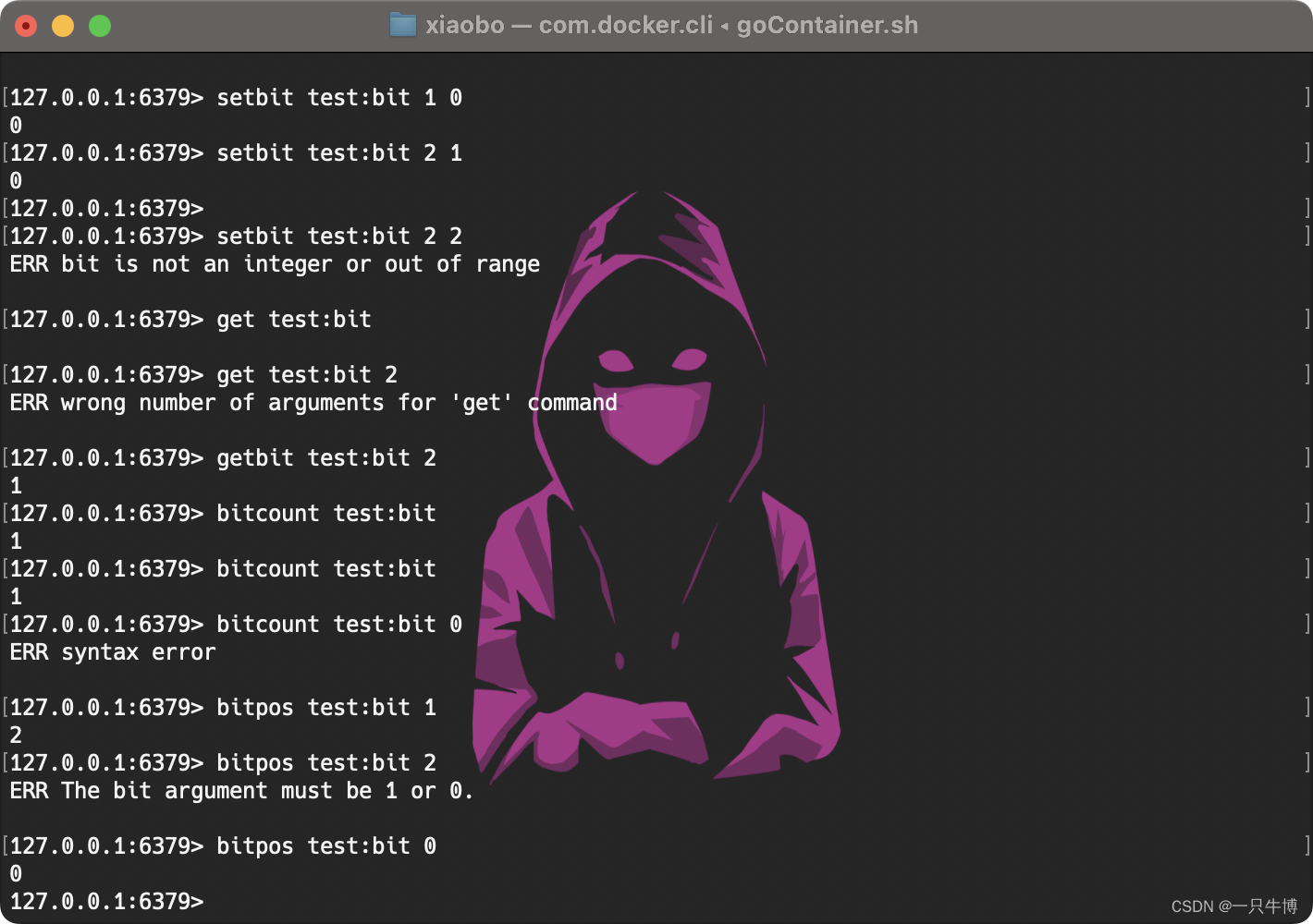 位运算的魅力：使用Redis Bitmap高效处理百万级布尔值-阿里云开发者社区