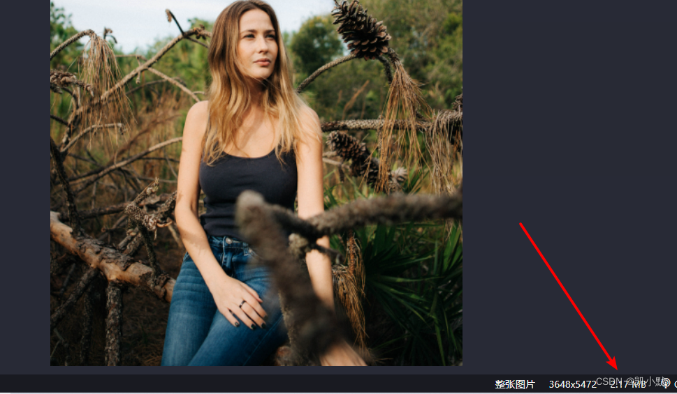 webpack优化篇（四十九）：使用 webpack 进行图片压缩-阿里云开发者社区