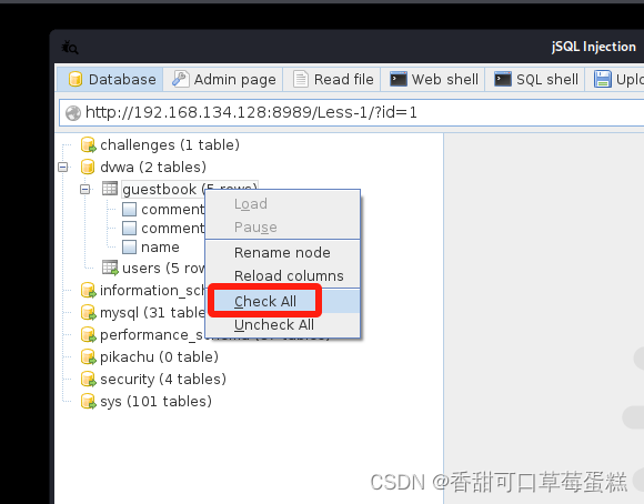 Sql注入工具jsql Injection安装与使用教程 开发者社区 阿里云