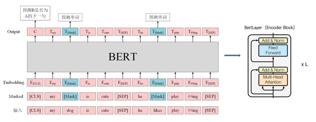 [Bert]论文实现：BERT: Pre-training of Deep Bidirectional Transformers for Language Understanding-阿里云开发者社区