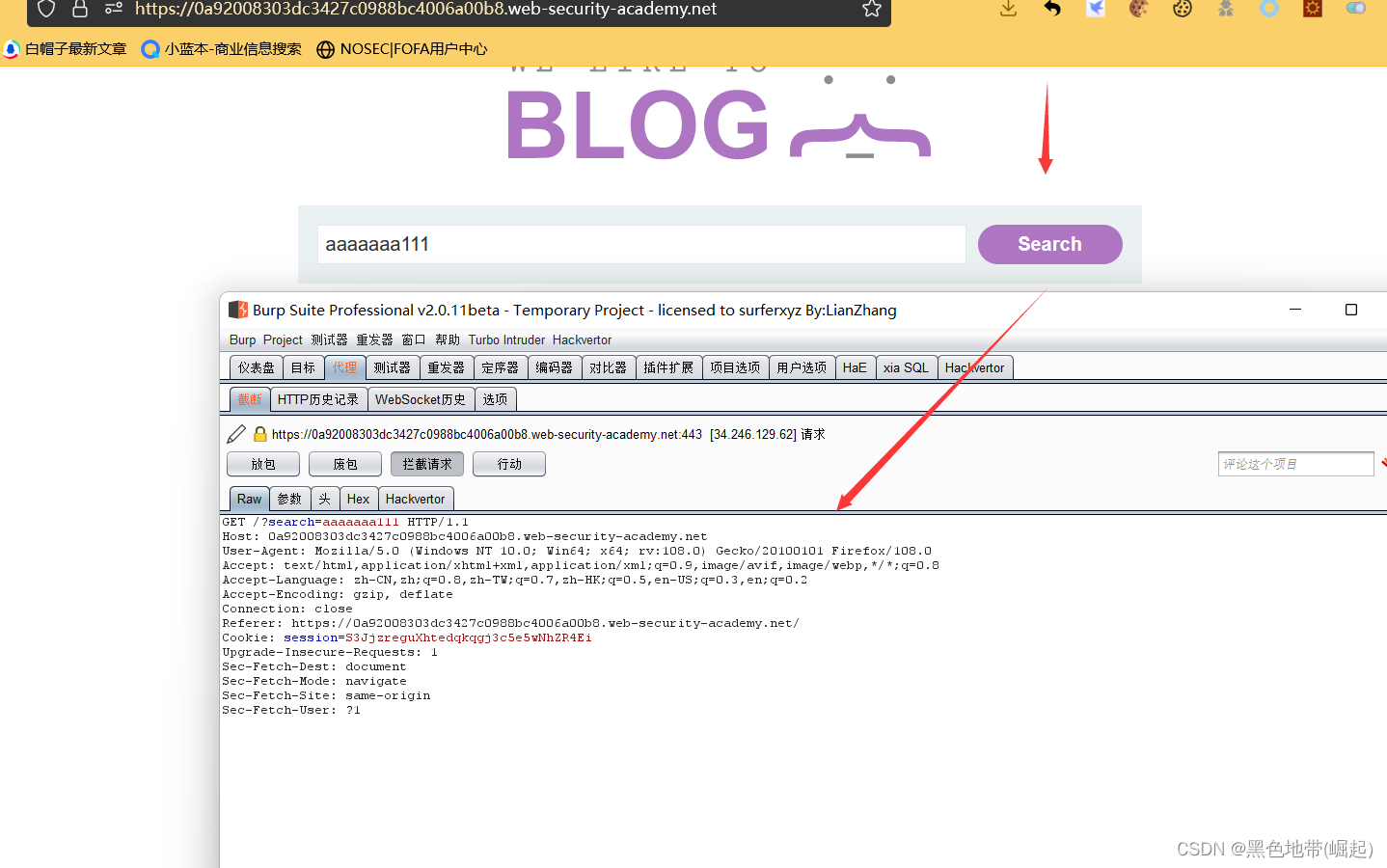 【BP靶场portswigger-客户端11】跨站点脚本XSS-20个实验（上）-阿里云开发者社区