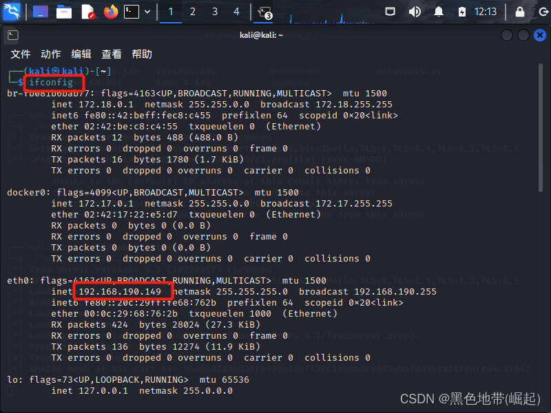 【内网安全-CS】Cobalt Strike启动运行&上线方法&插件-阿里云开发者社区