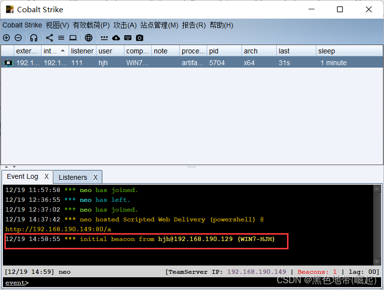 【内网安全-CS】Cobalt Strike启动运行&上线方法&插件-阿里云开发者社区