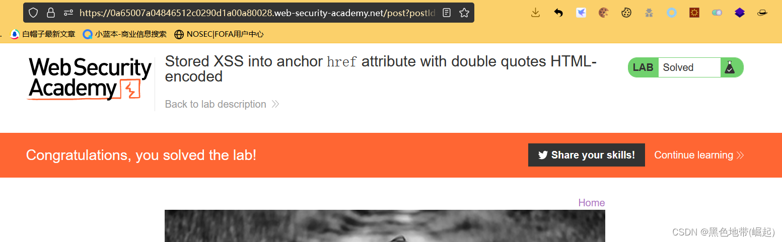【BP靶场portswigger-客户端11】跨站点脚本XSS-20个实验（上）-阿里云开发者社区