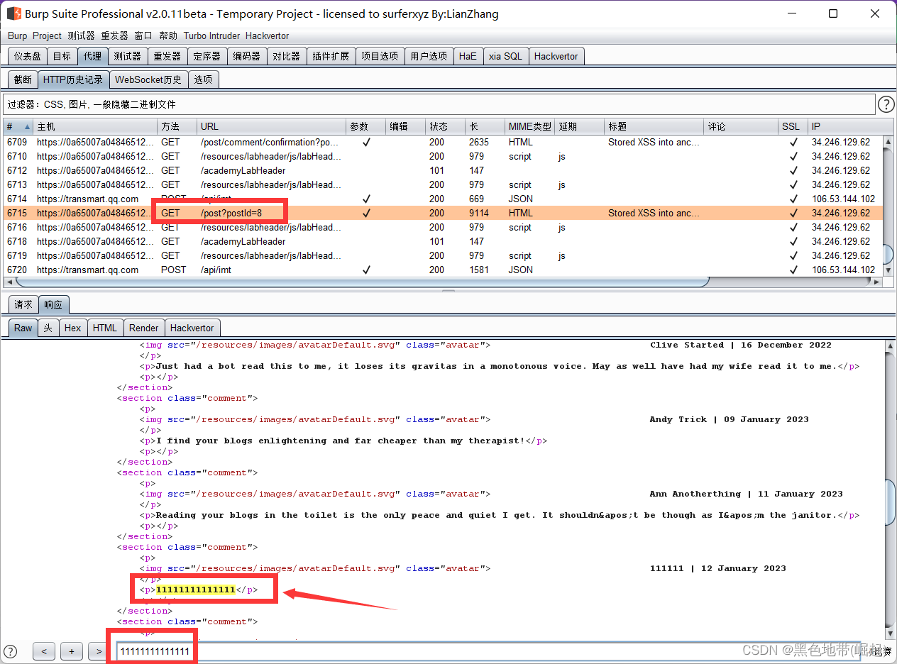 【BP靶场portswigger-客户端11】跨站点脚本XSS-20个实验（上）-阿里云开发者社区