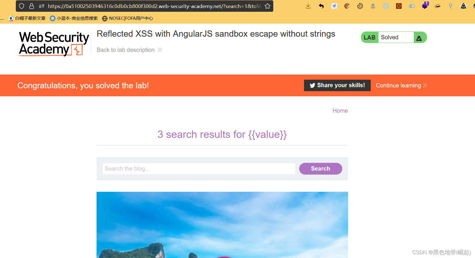 【BP靶场portswigger-客户端11】跨站点脚本XSS-20个实验（上）-阿里云开发者社区