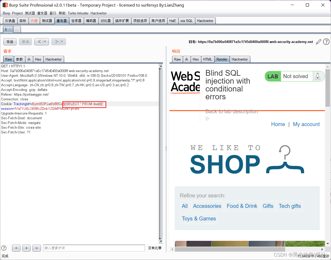 【BP靶场portswigger-服务端1】SQL注入-17个实验（全）（下）-阿里云开发者社区
