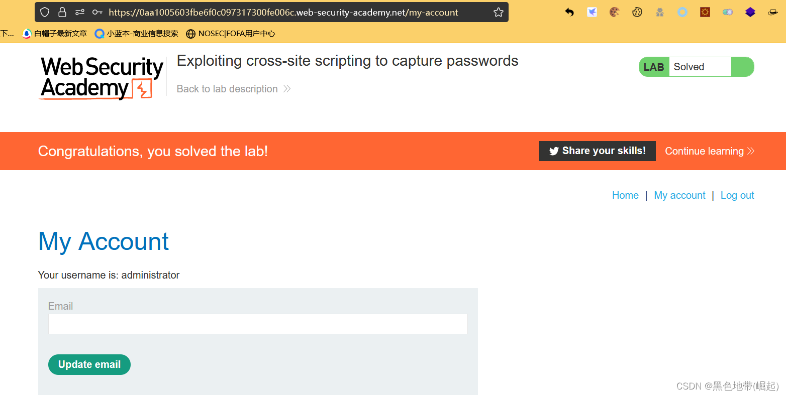 XSS攻击实践：利用反射型与存储型漏洞窃取Cookie和密码-开发者社区-阿里云
