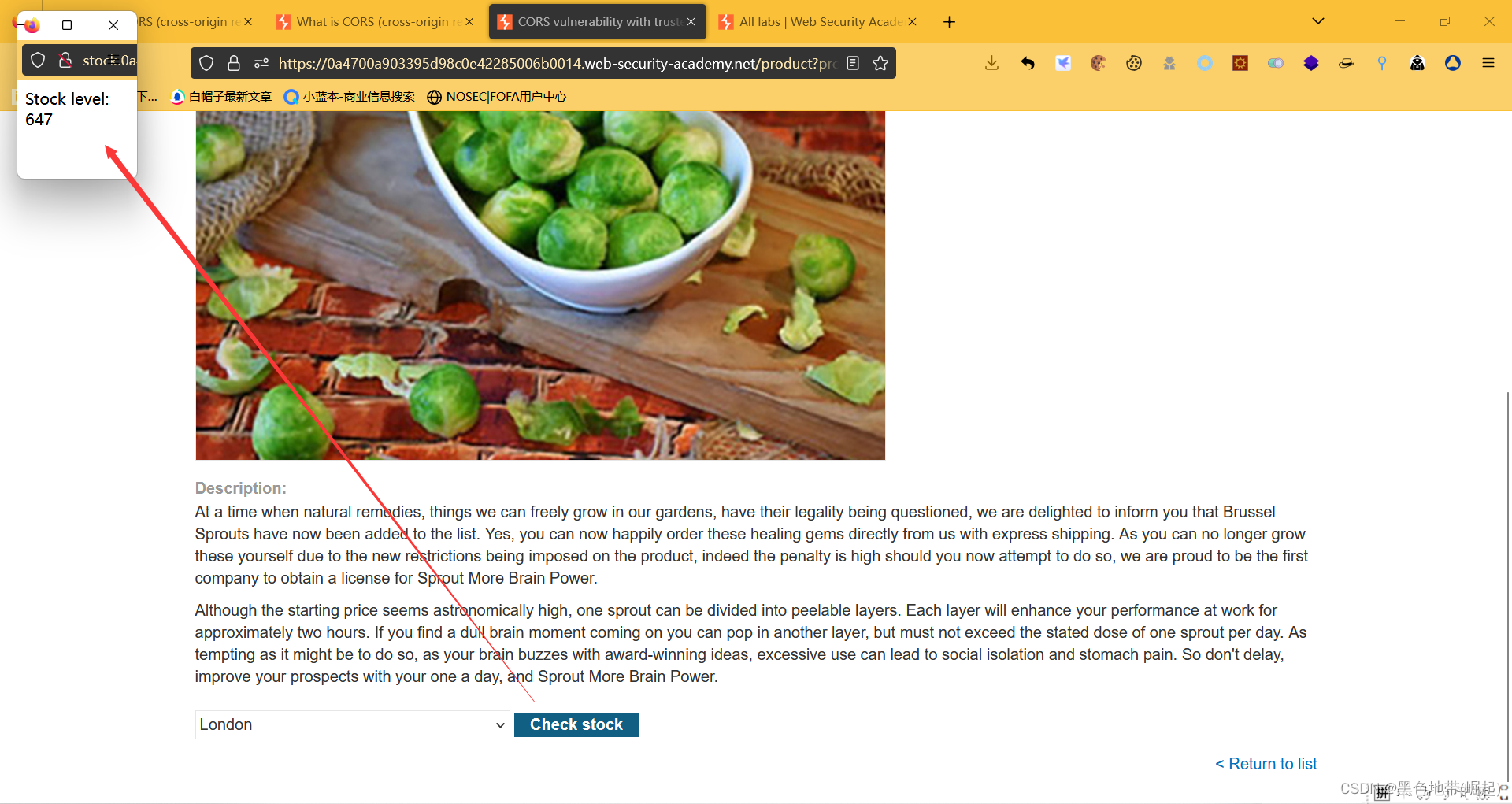 【BP靶场portswigger-客户端13】跨来源资源共享（CORS）4个实验（全）（下）-阿里云开发者社区